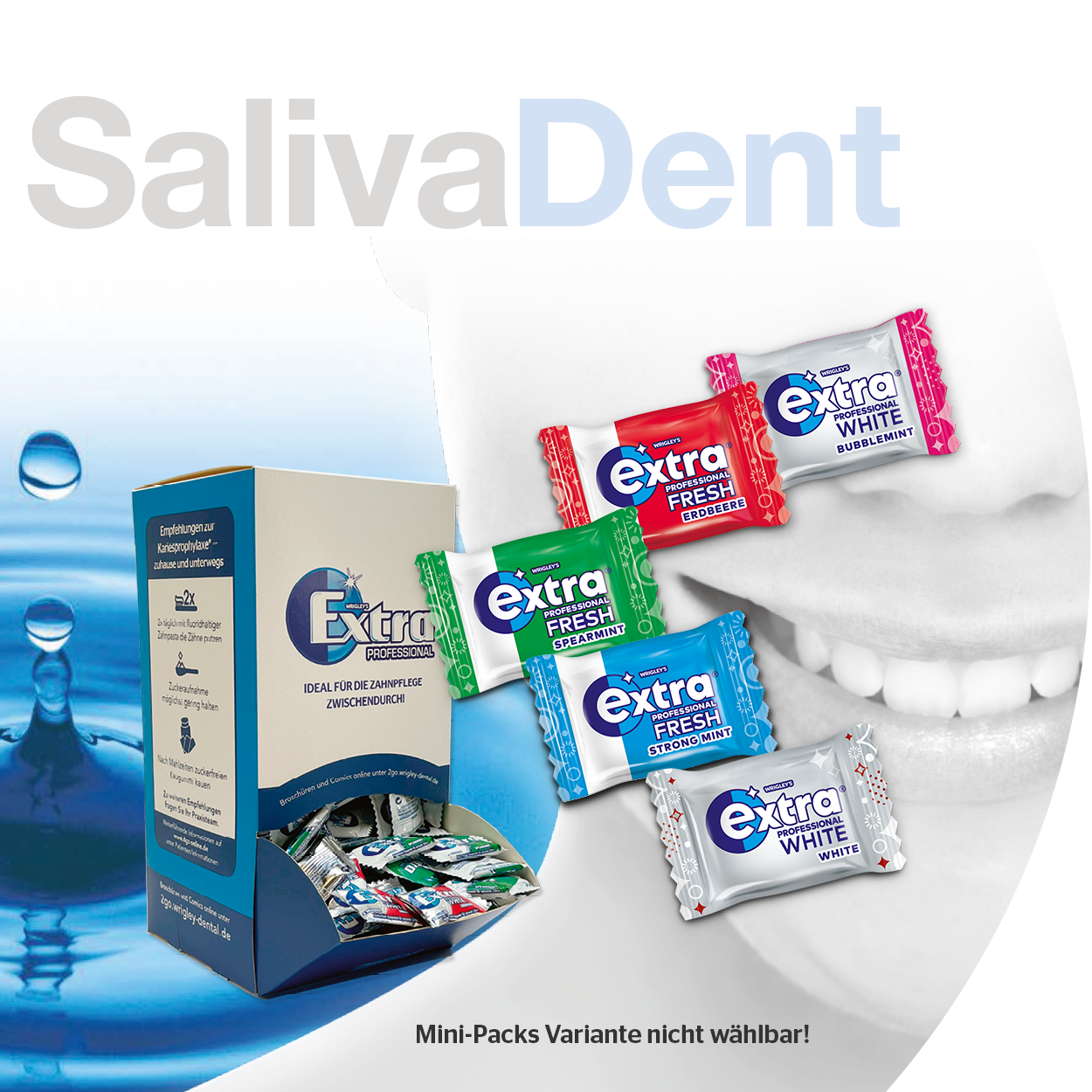 Wrigley Oral Health Program